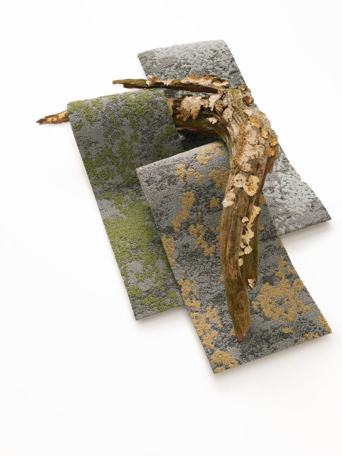 GH Commercial presents Lichen Collection | IndesignLive