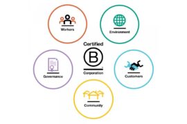 Living Edge - Living Edge is building a bright future with B-Corp ...