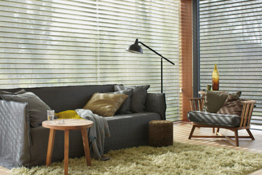 The Art of Shading | Indesign Live: Interior Design and Architecture