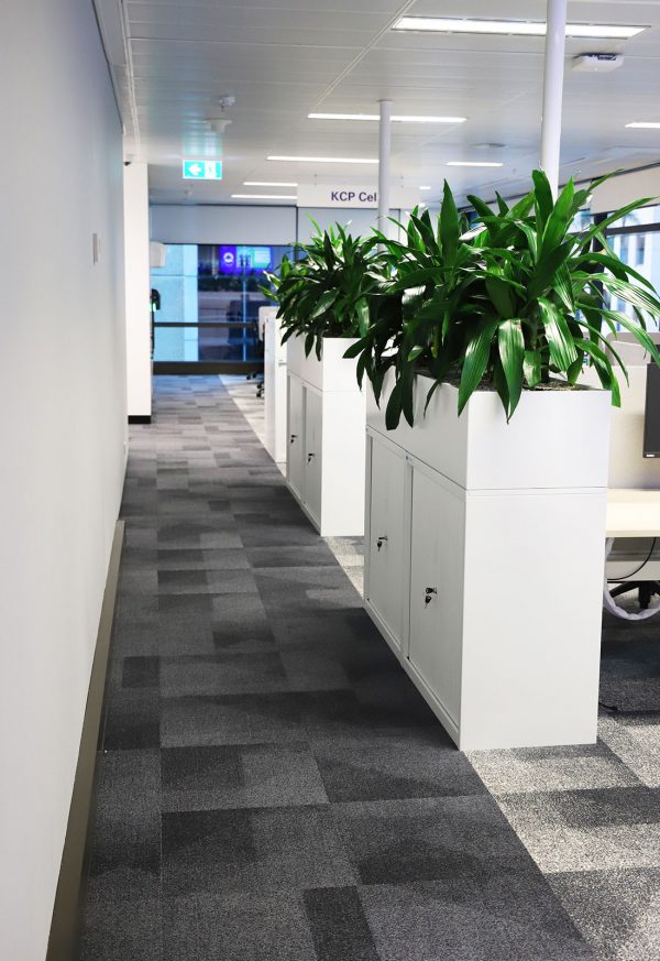 Modular carpeting helps usher in new era for Kimberly Clark | IndesignLive
