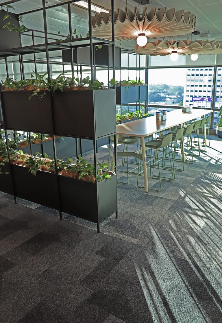 Modular carpeting helps usher in new era for Kimberly Clark | IndesignLive