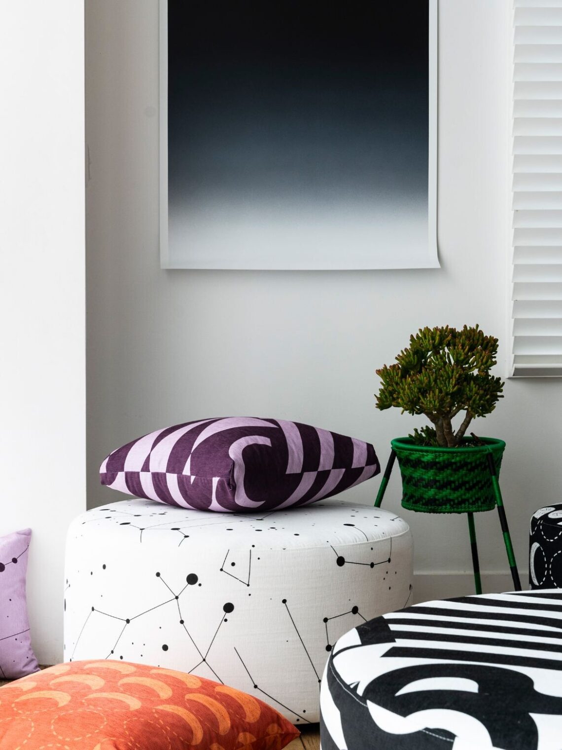 Zahava Elenberg | IndesignLive