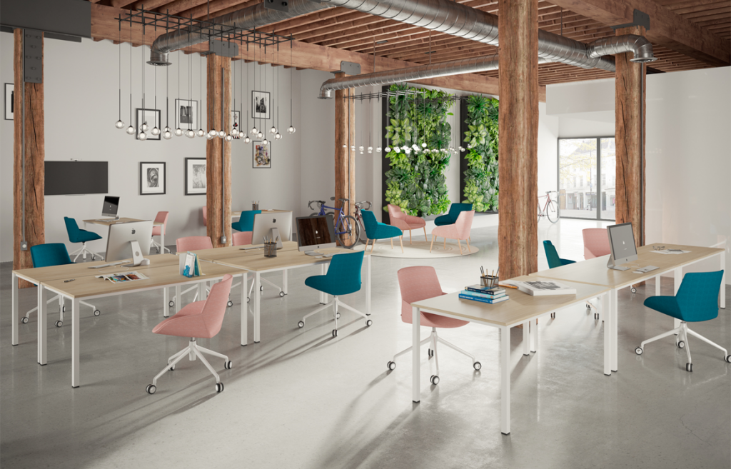 Noom 30 - ACTIU | IndesignLive