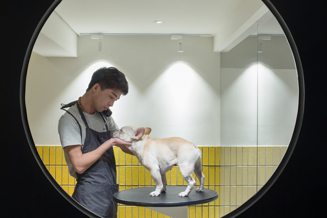 Nova Pets by Say Architects | IndesignLive