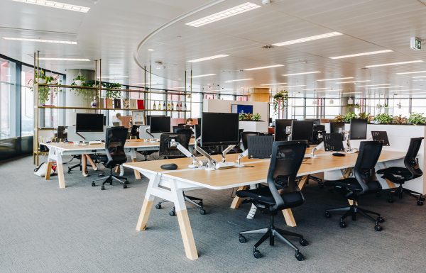 Alpha Workstation - AWM | IndesignLive