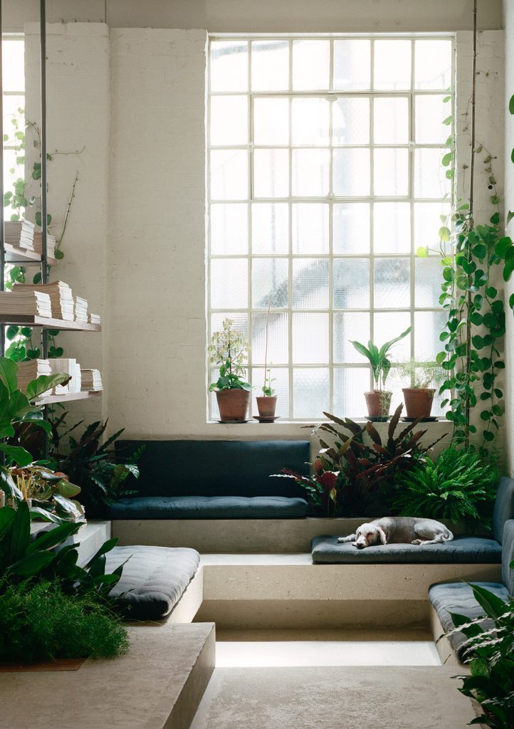 Workplace culture brought to life through 9 incredible offices ...