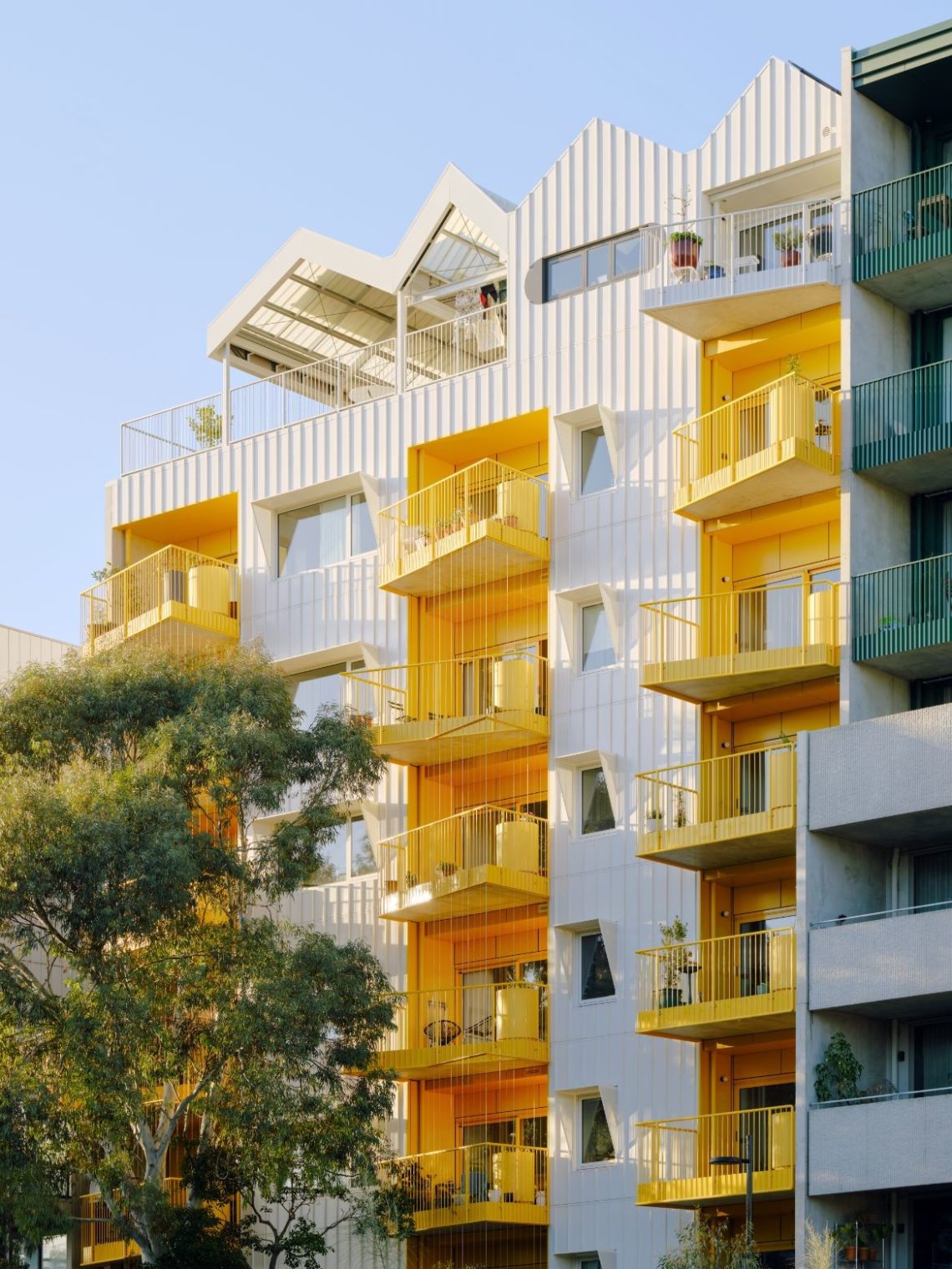 Austin Maynard Architects - all about the practice | IndesignLive