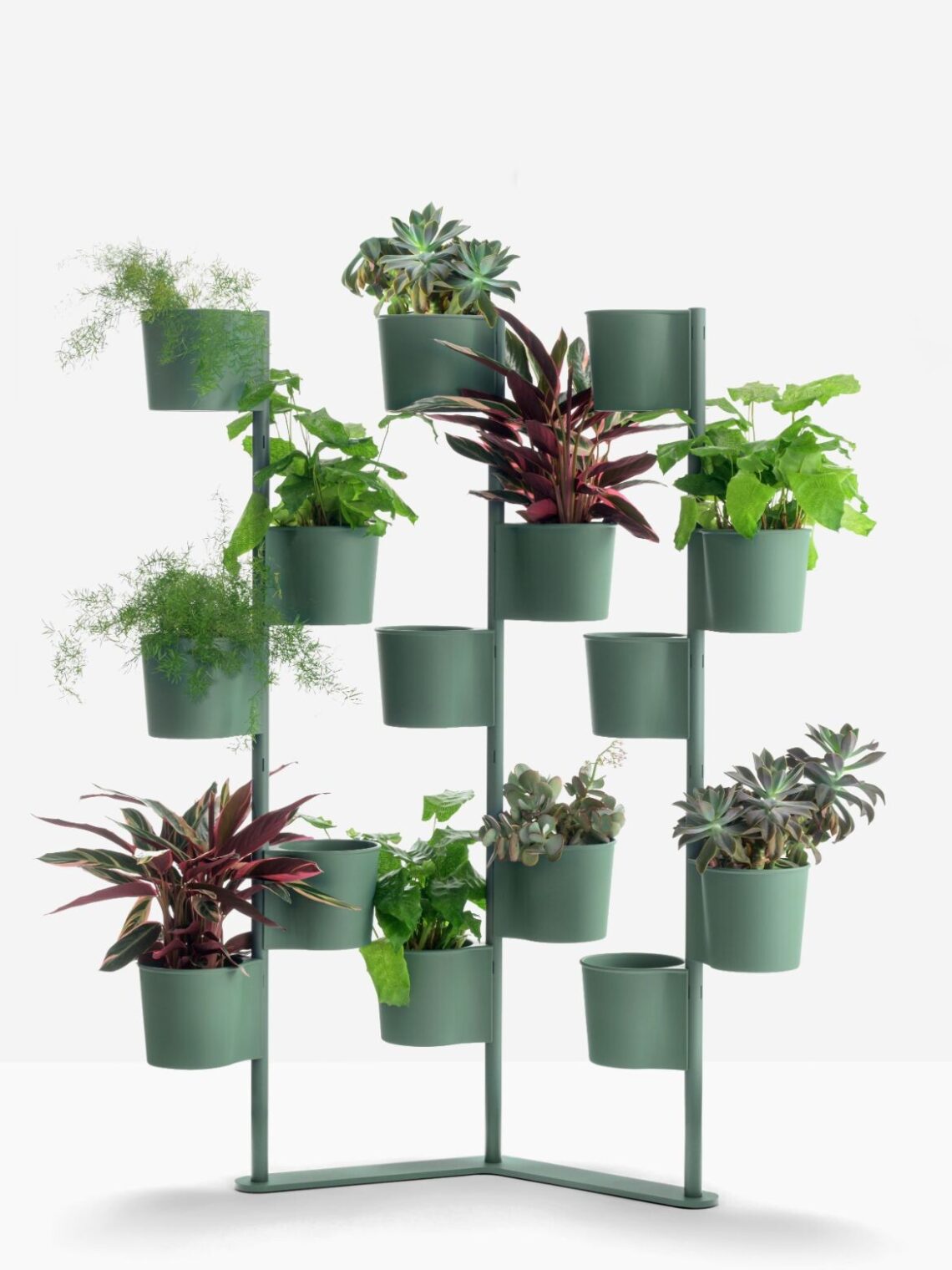 Hevea - Foliage takes centre stage | IndesignLive