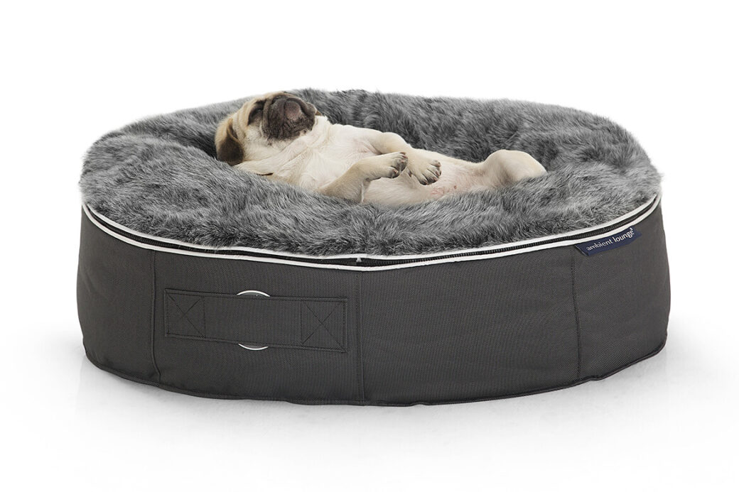 5 interior ideas that put your pet's wellbeing first | IndesignLive