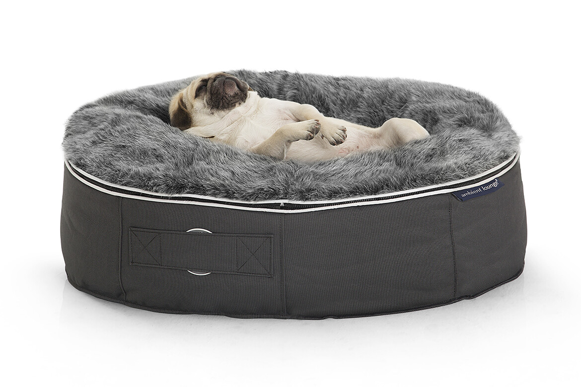 5 interior ideas that put your pet's wellbeing first | IndesignLive