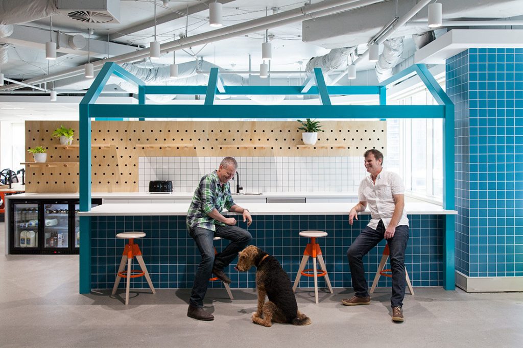 10 pet friendly workplaces that deserve design kudos | IndesignLive