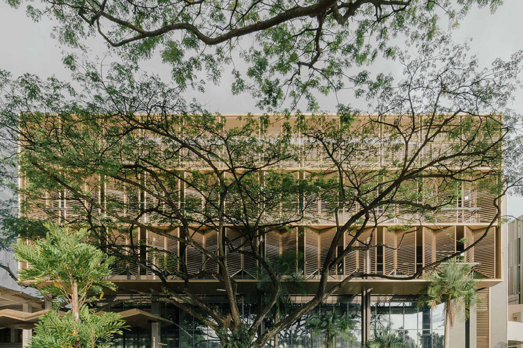 You're looking at the Best of the Best of Indo-Pacific design ...