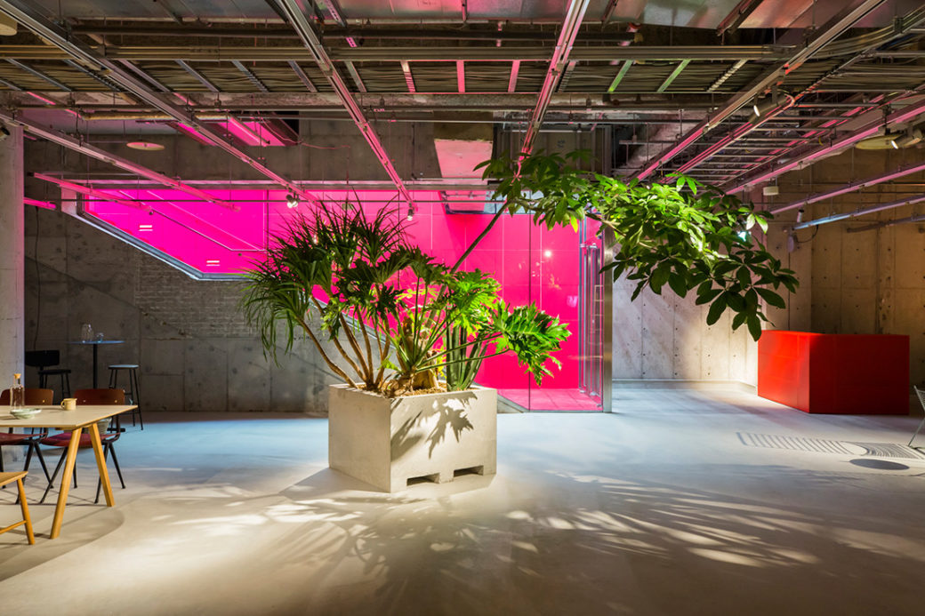 Schemata Architects | IndesignLive