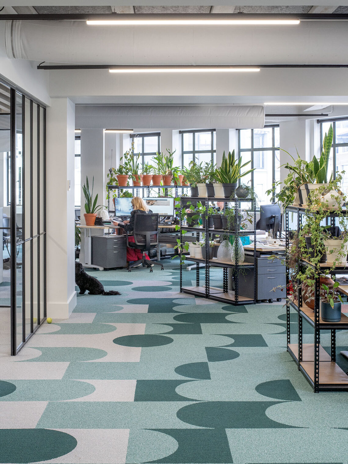 Cuba Street – Solari Architects | IndesignLive