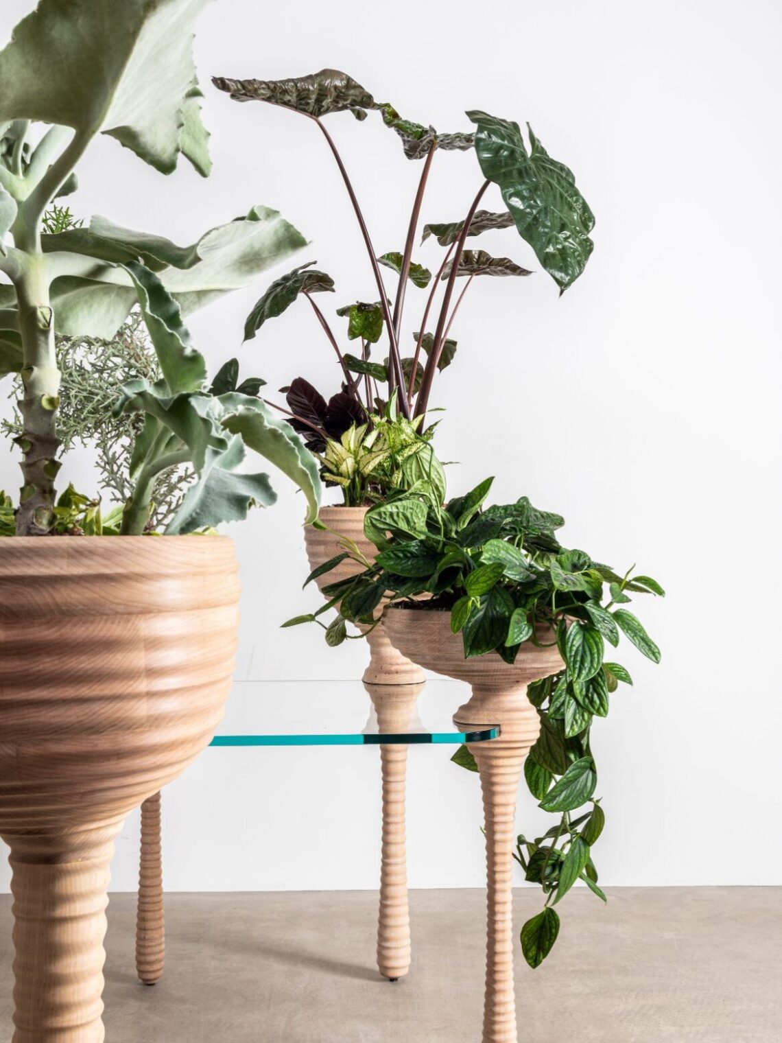 Hard Maple - A church of nature | IndesignLive