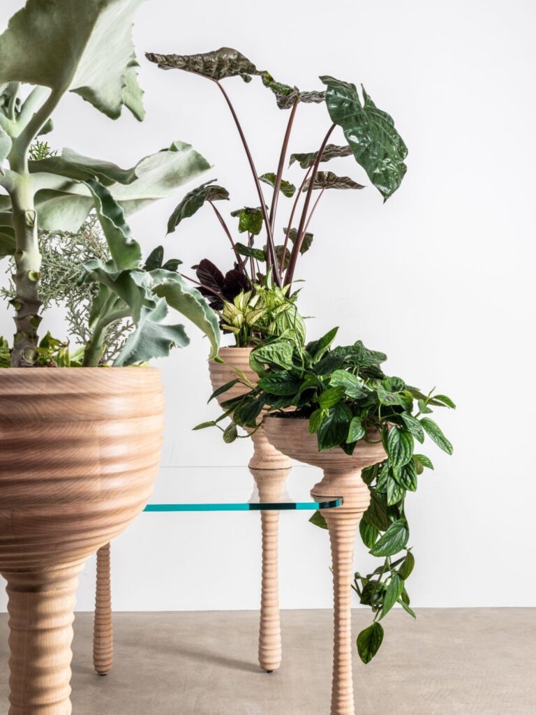 Hard Maple - A church of nature | IndesignLive