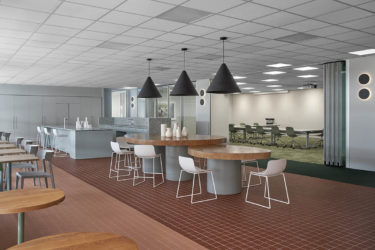 Future of hybrid working at Dexus Place and Burnet Institute | IndesignLive