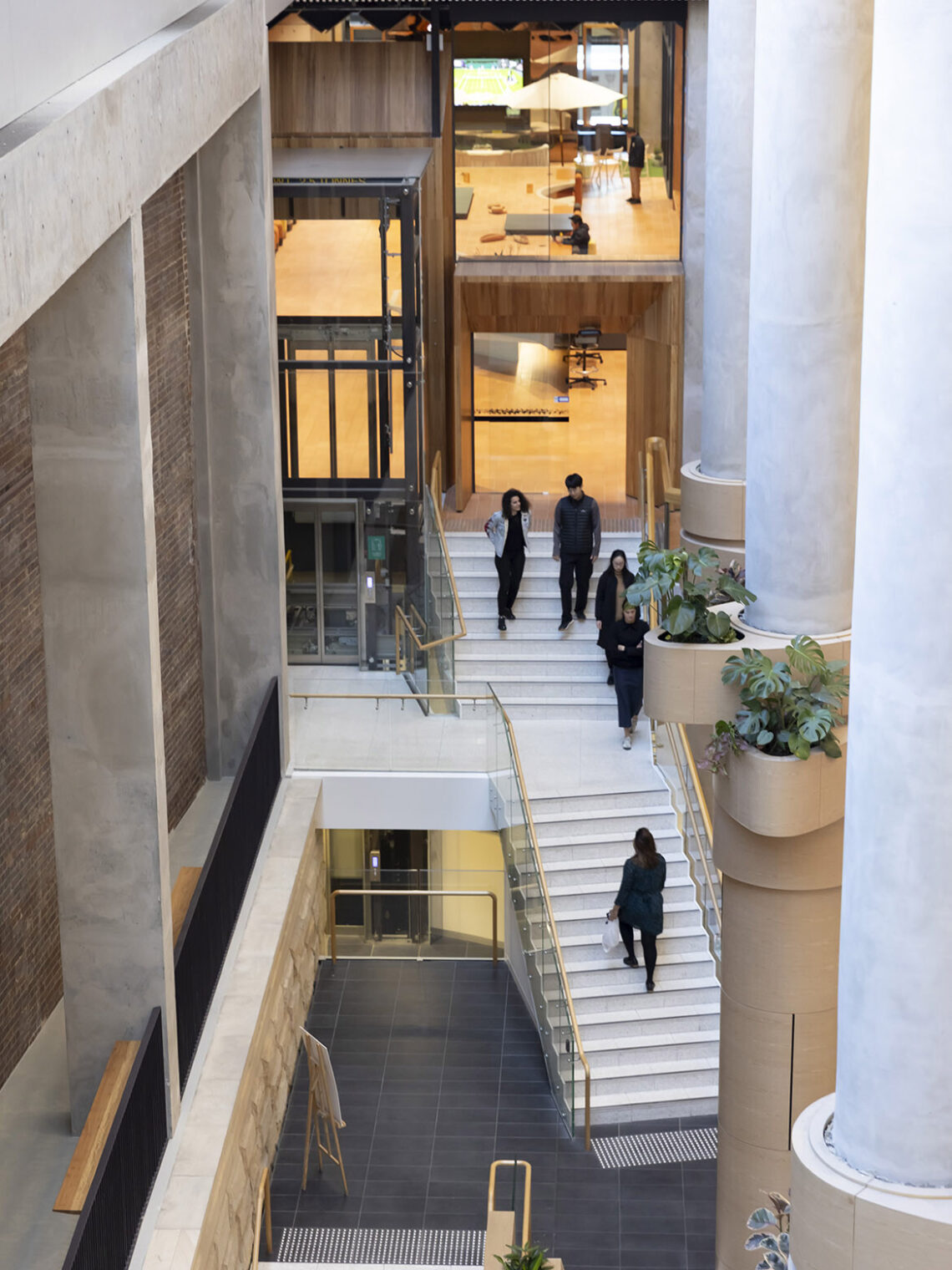 Wardle at 477 Pitt Street | IndesignLive