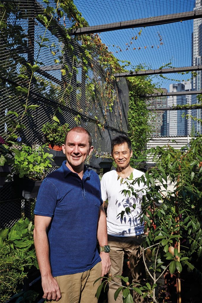 Normalising the Radical with WOHA | IndesignLive