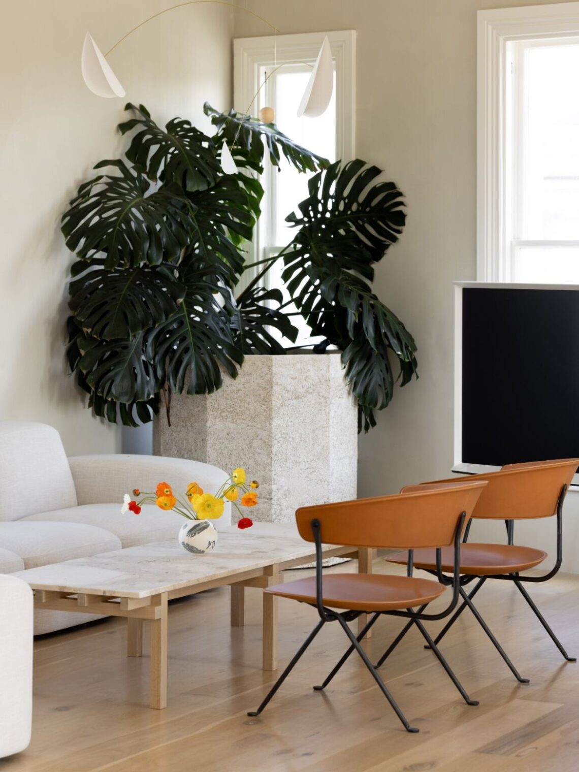 Wonder remodels studio