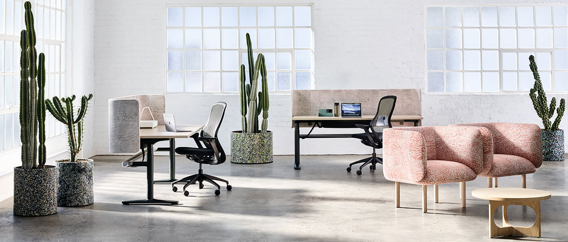 Zenith - Products | IndesignLive