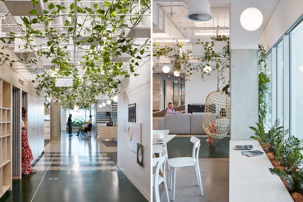 Cardno's City-Like Office Celebrates Variety And Community | IndesignLive