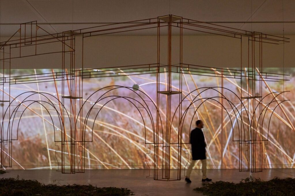 Unsettling Queenstown: Questions of decolonisation at the Venice ...