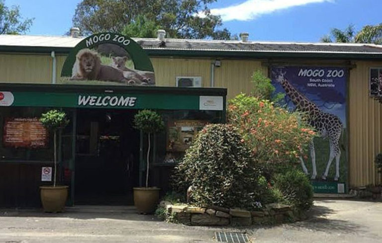 Mogo Zoo to build new animal hospital | IndesignLive