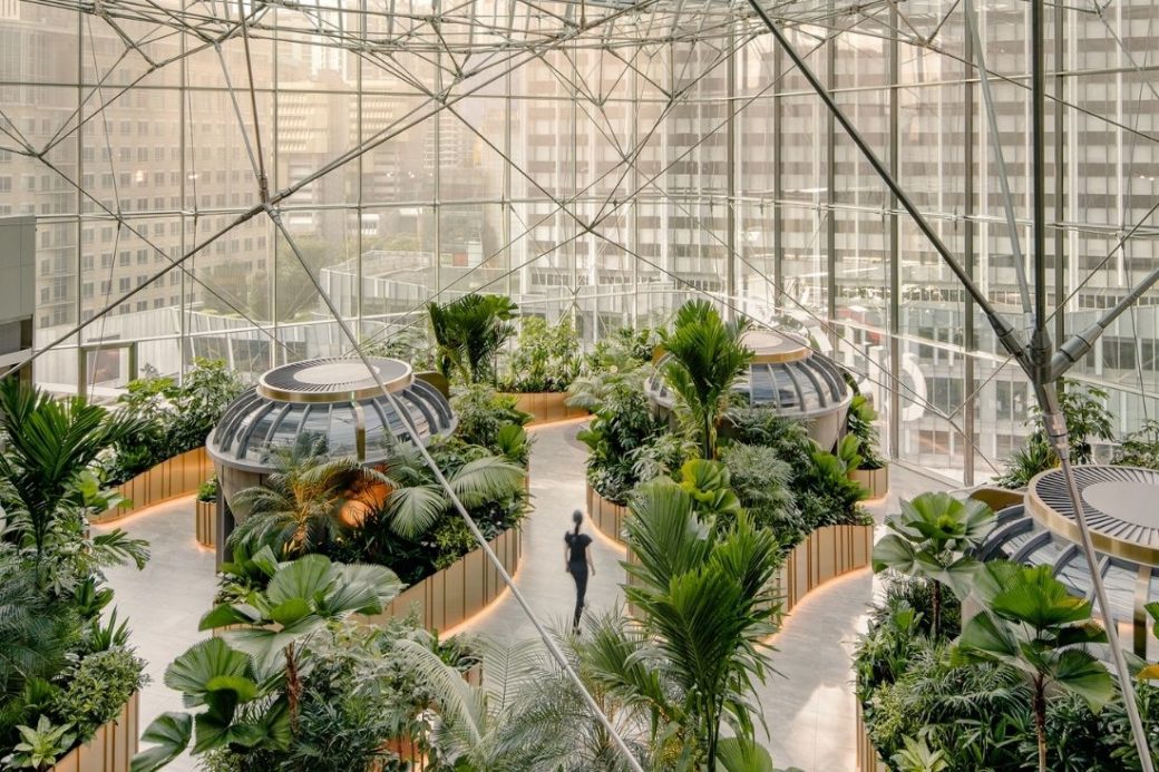 Biophilic design redefines the retail banking experience | IndesignLive