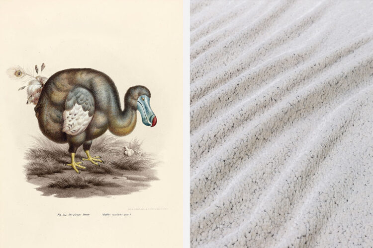 Gone But Not Forgotten: Moooi's Extinct Animal Fabrics | Indesign Live ...