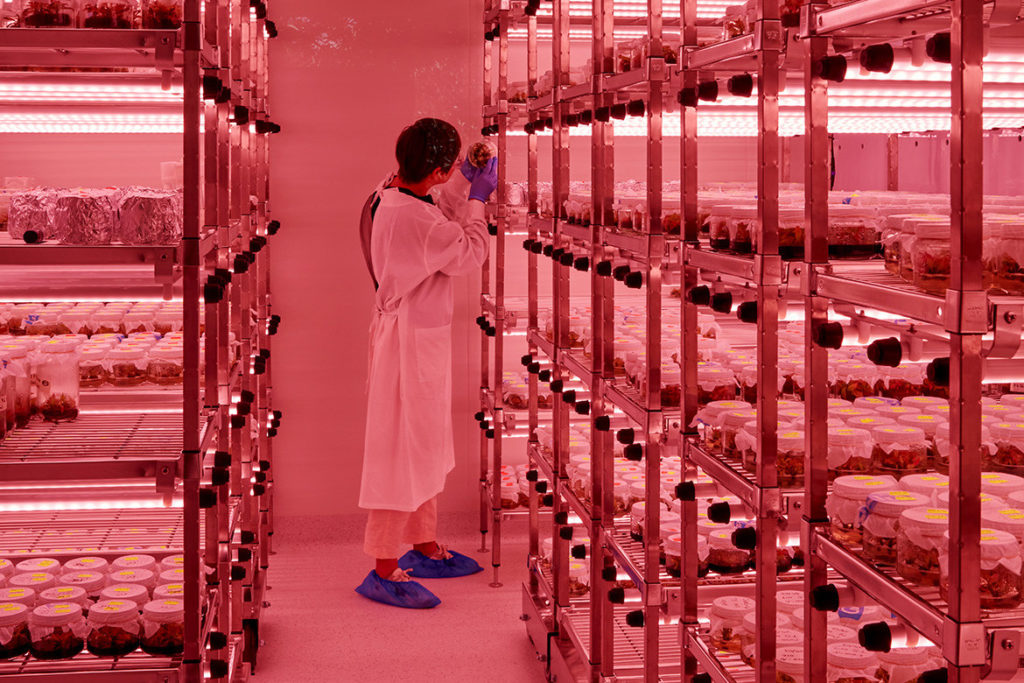 Laboratory chic - 8 futuristic lab designs | IndesignLive